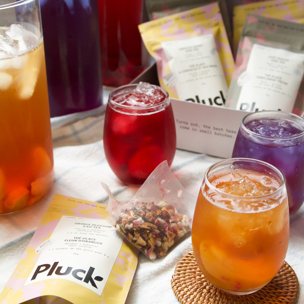 Pluck Tea - Premium Canadian Tea - Free delivery over $60