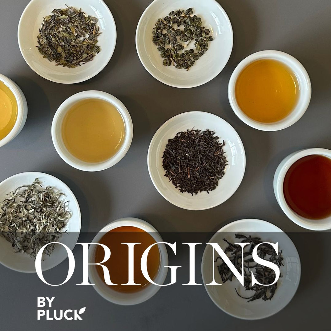 Pluck Tea - Premium Organic Tea - Free delivery over $50