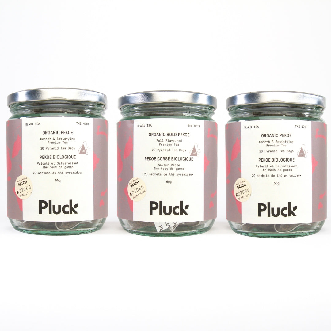 Pekoe - 3 Jar Bundle (Loose or Bagged) — Pluck Tea