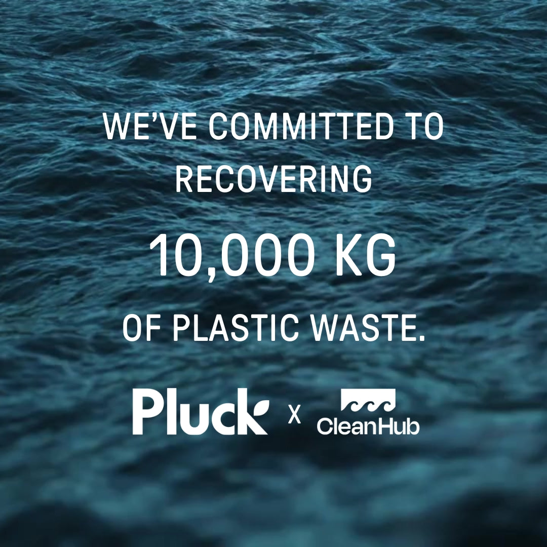 Pluck Tea - Premium Canadian Tea - Free delivery over $60