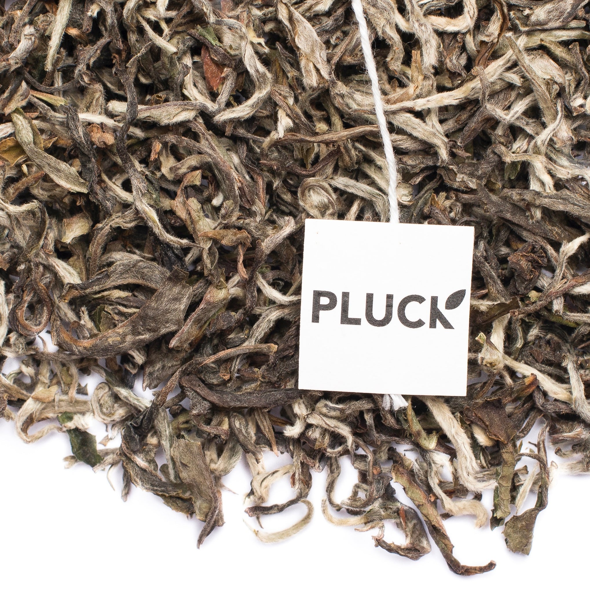 Pluck Tea - Premium Organic Tea - Free delivery over $50