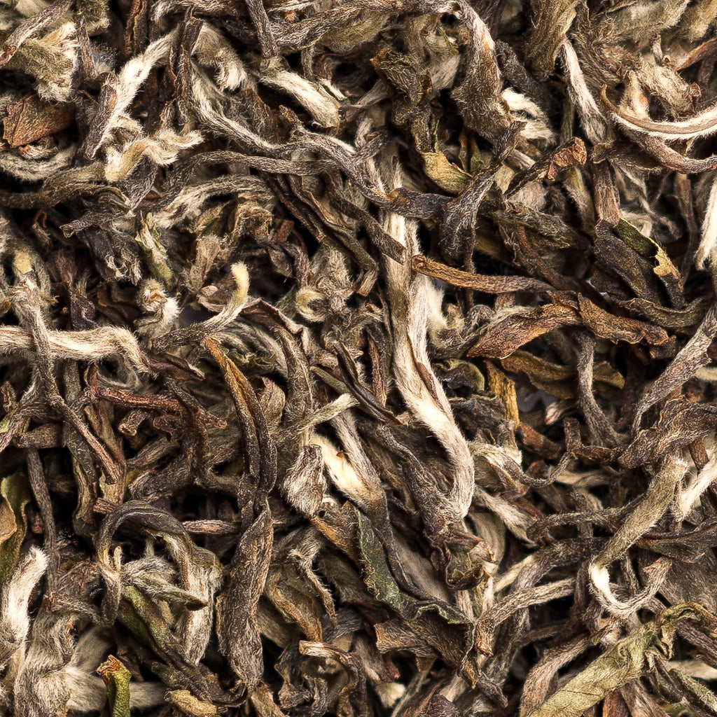 Pluck Tea - Premium Organic Tea - Free delivery over $50