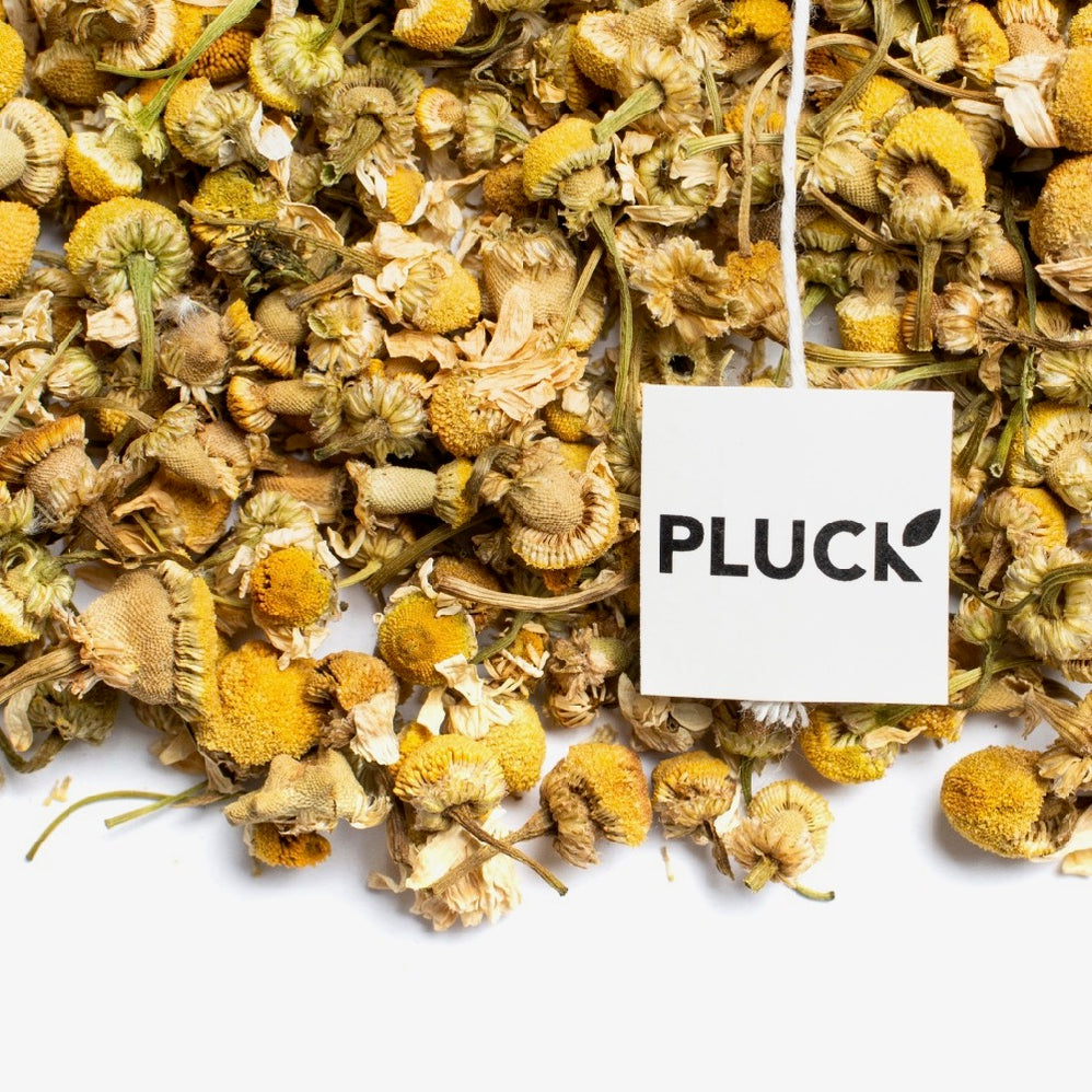 Pluck Tea - Premium Organic Tea - Free delivery over $50