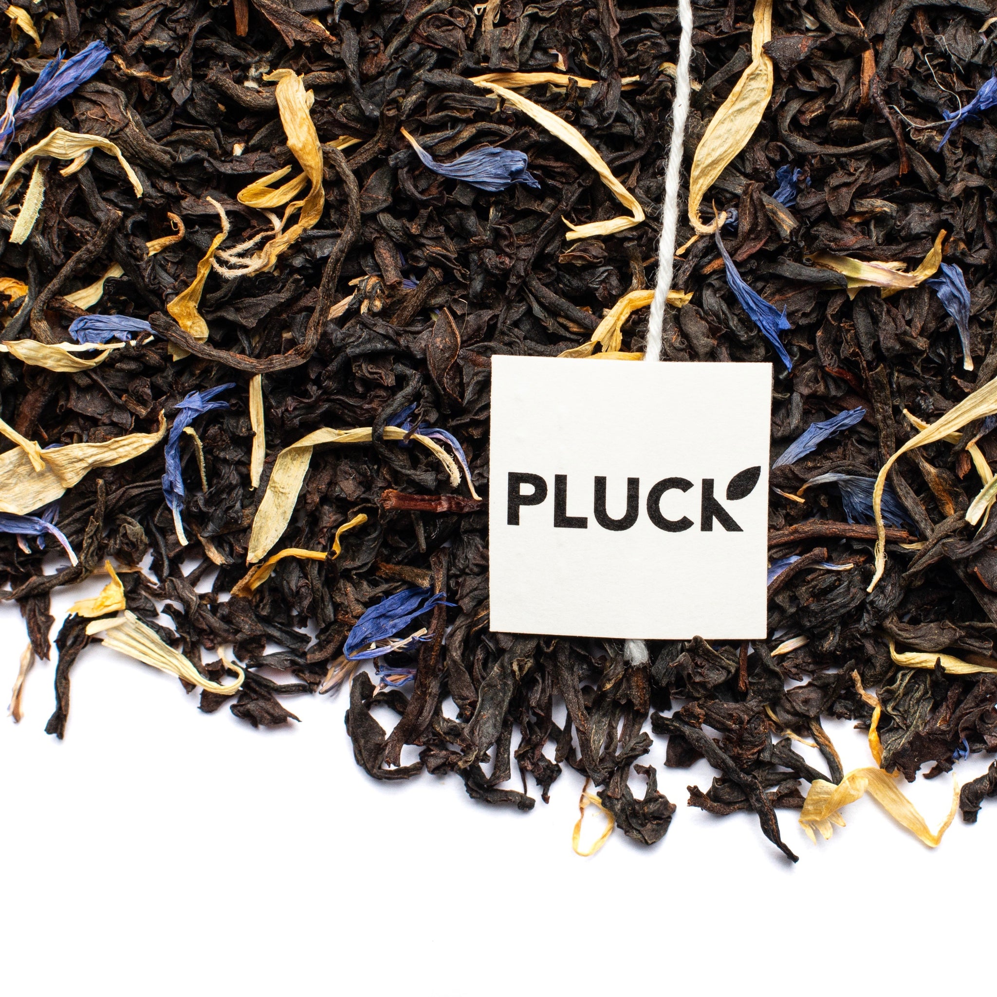 Black Tea — Pluck Tea