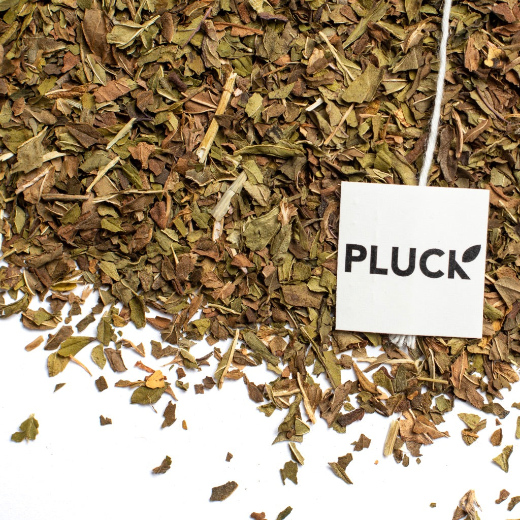Best Sellers — Pluck Tea